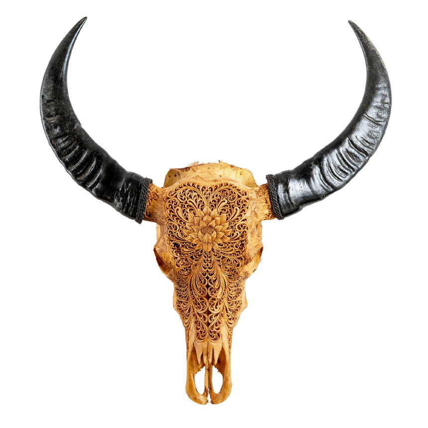 Buffalo Skulls for Sale | Carved Bison Skulls | Skull Bliss