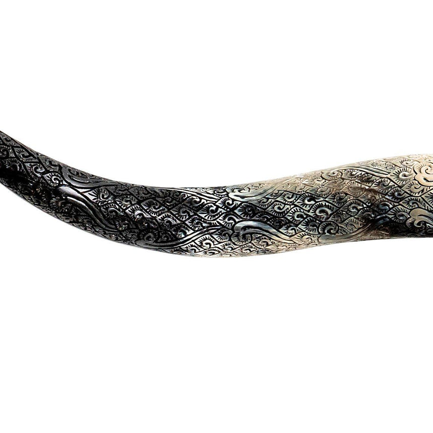 Longhorn Skulls for Sale | Longhorn Cow Skull Decor | Skull Bliss