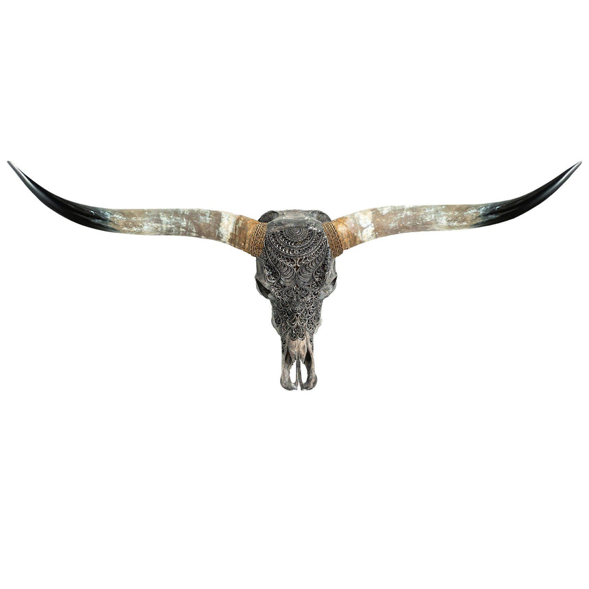 Longhorn Skulls for Sale | Longhorn Cow Skull Decor | Skull Bliss