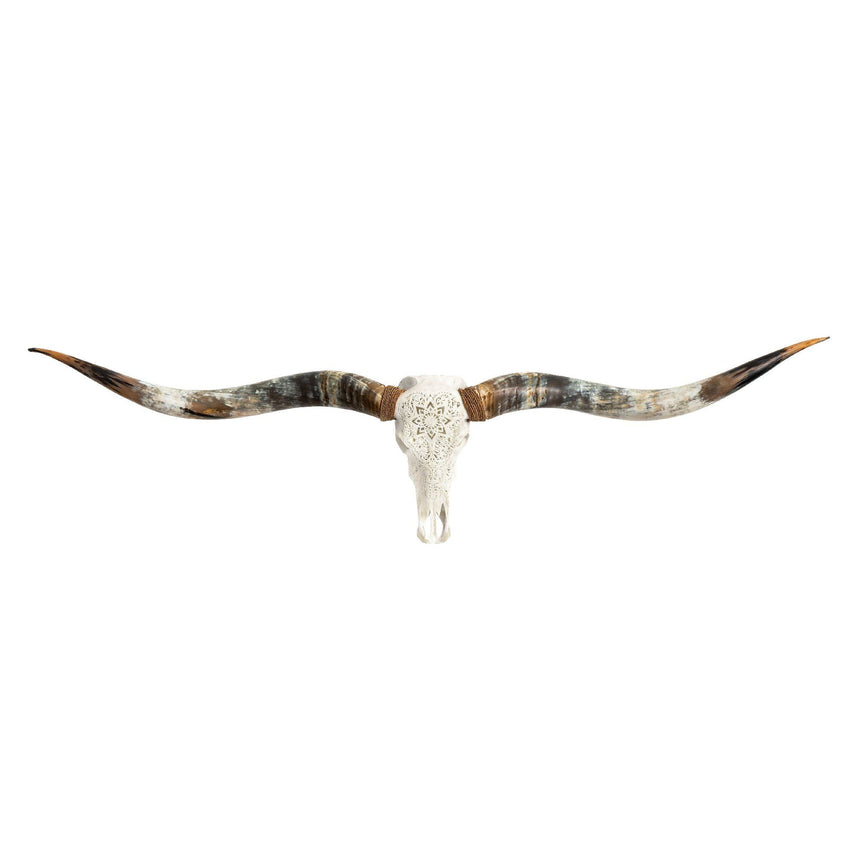 Longhorn Skulls for Sale | Longhorn Cow Skull Decor | Skull Bliss