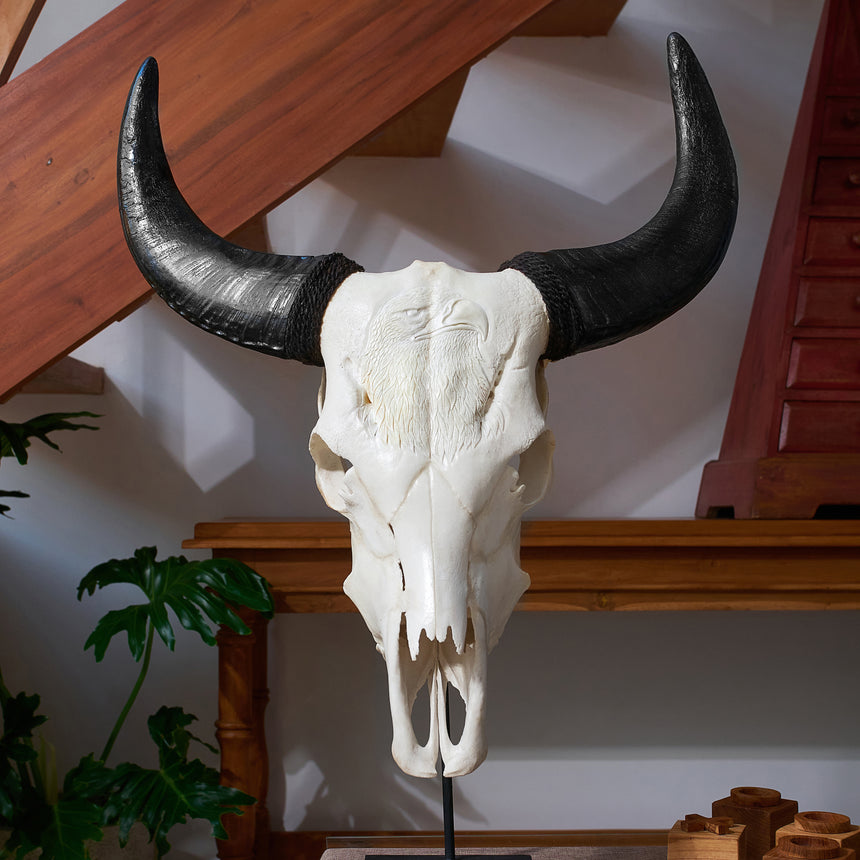 Cow Skulls for Sale | Bull & Cow Skull Decor | Skull Bliss