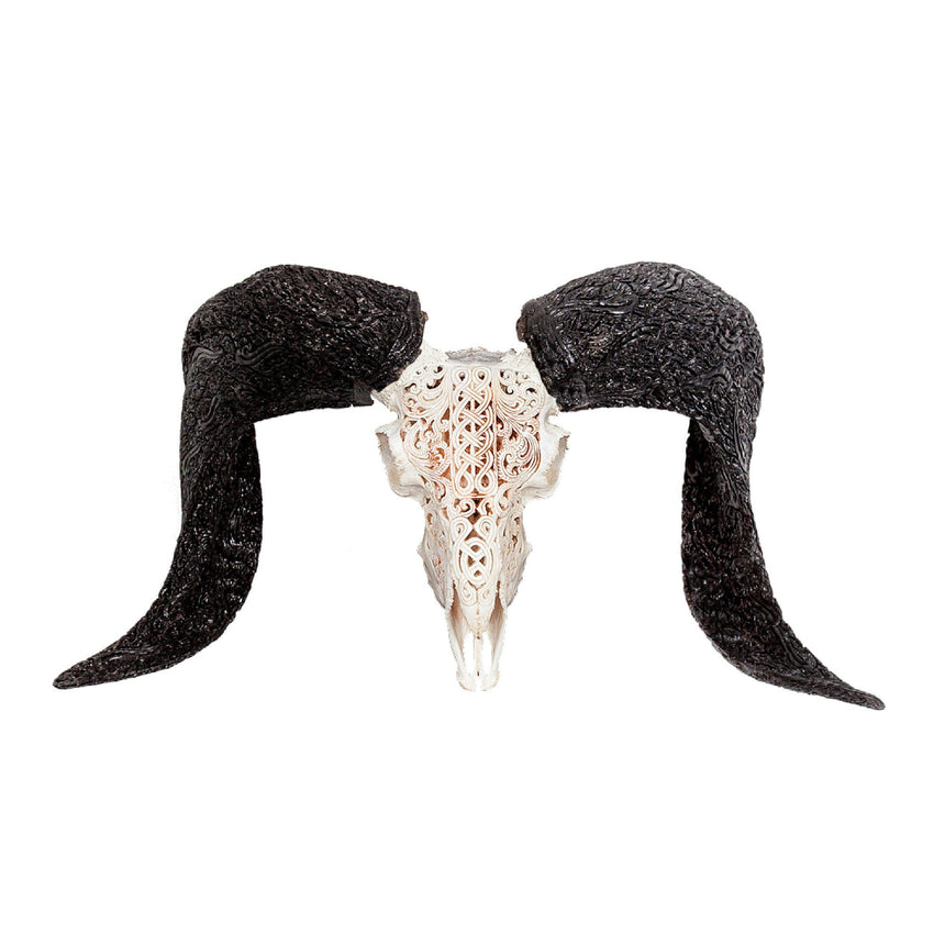 Ram Skulls for Sale | Ram Skull Art | Skull Bliss
