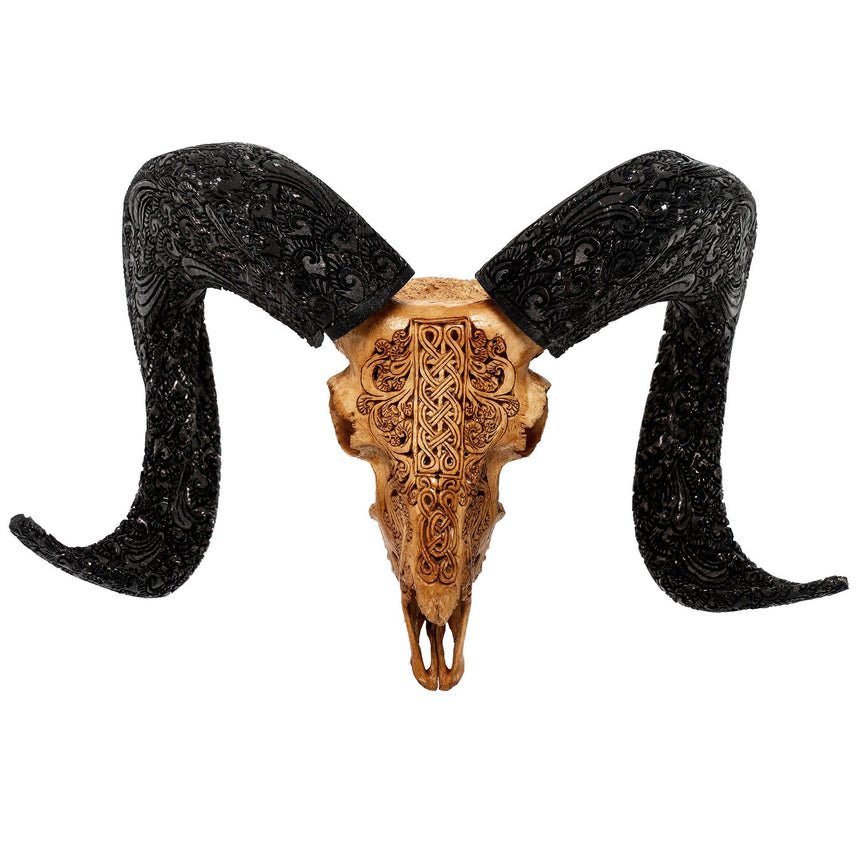 Antique and Aged Skulls for Sale | Skull Bliss