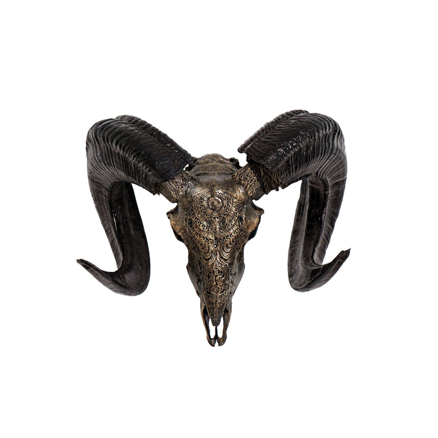 Ram Skulls for Sale | Ram Skull Art | Skull Bliss