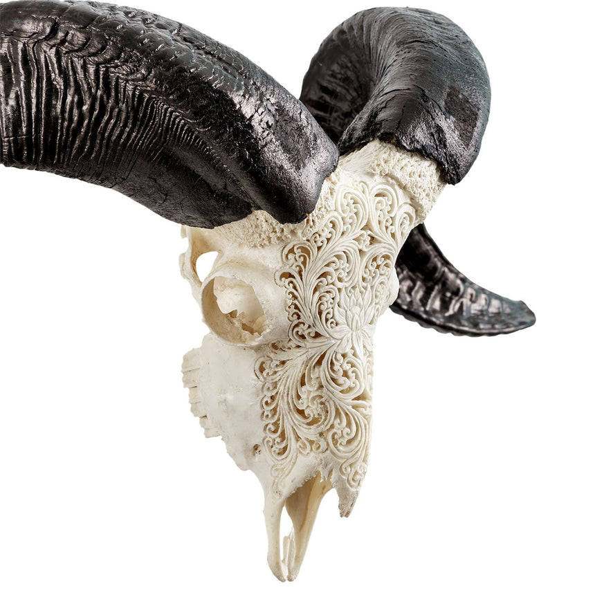 Ram Skulls for Sale | Ram Skull Art | Skull Bliss
