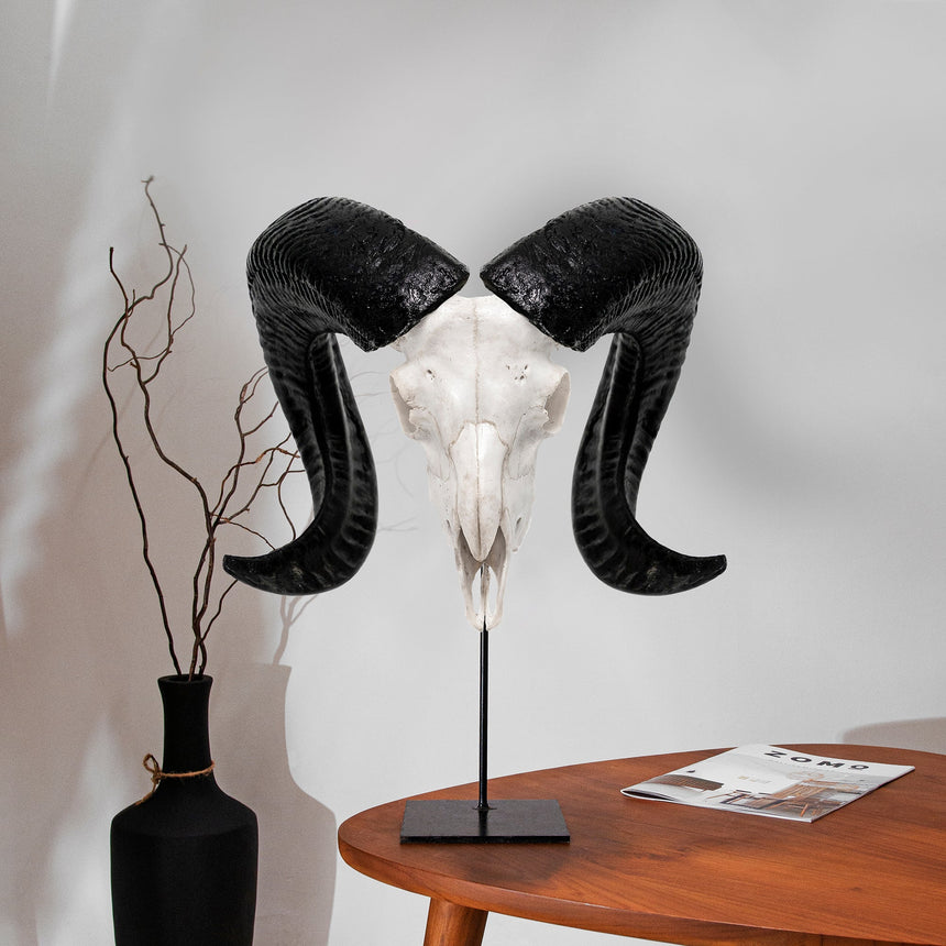 Ram Skulls for Sale | Ram Skull Art | Skull Bliss