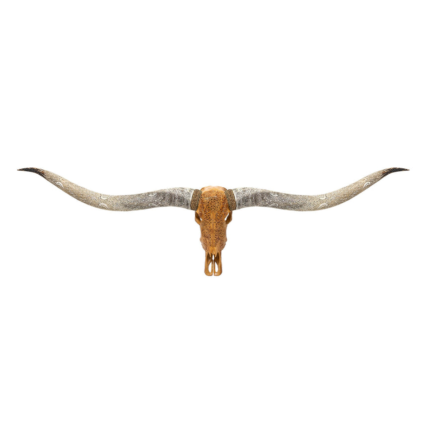 Antique and Aged Skulls for Sale | Skull Bliss