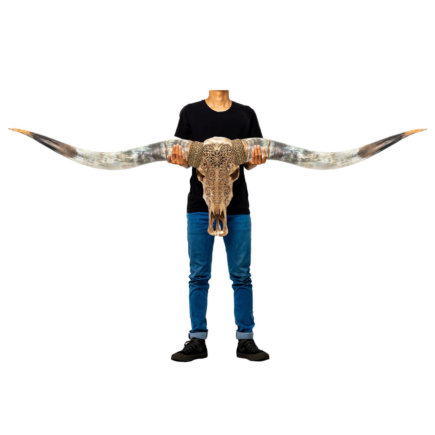 XL Longhorn Skulls – Skull Bliss
