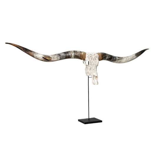 XL Longhorn Skulls - Metallic Stand – Skull Bliss