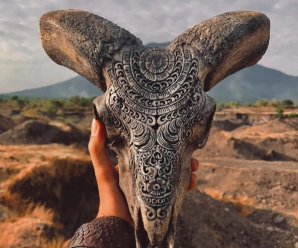 Carved Animal Skulls for Sale | Unique Skull Decor | Skull Bliss